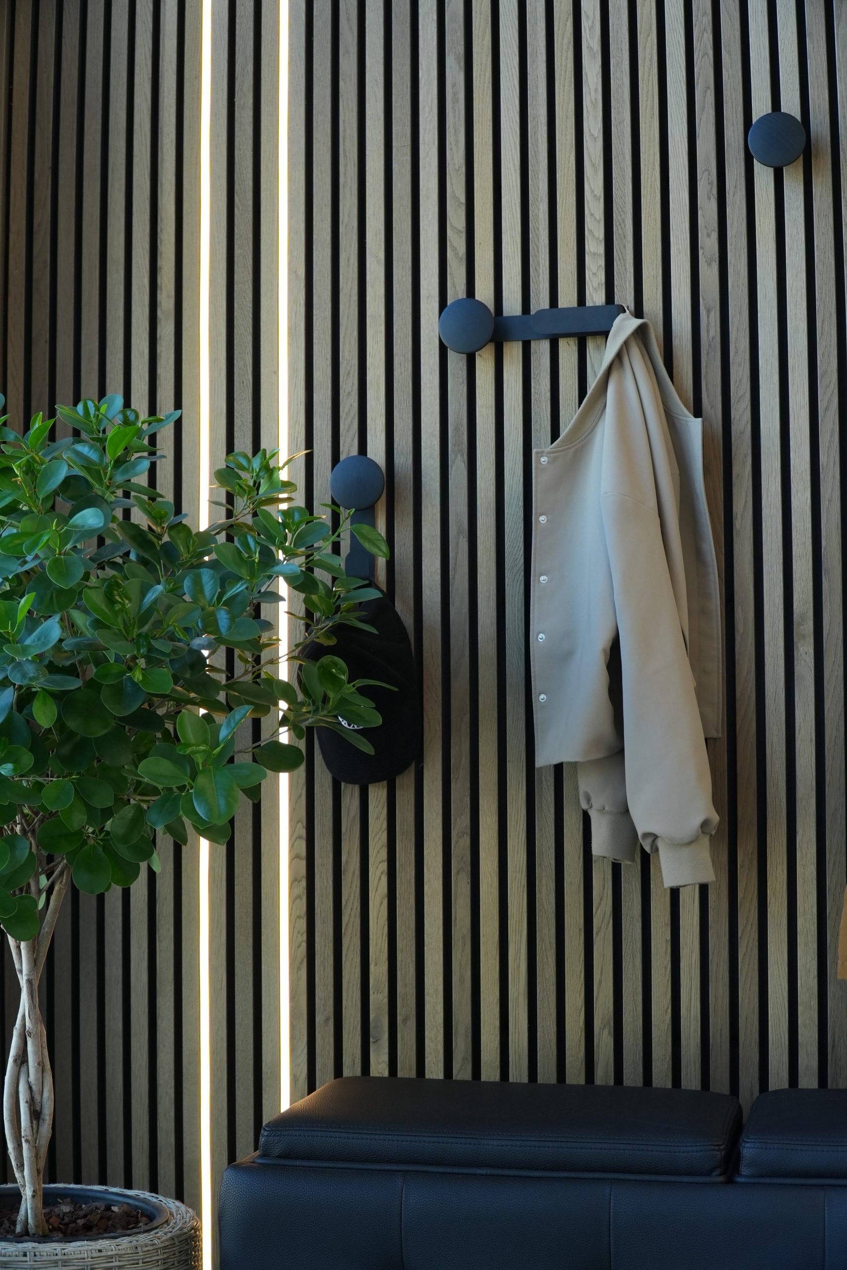 LED Lights – The Shade Collective